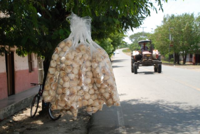 Betulianos: ELABORACION DEL DIABOLIN